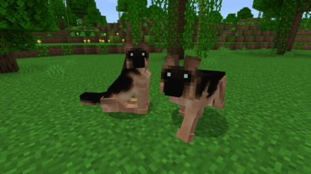 Dogs Plus Mod[23 dog] - Mods for Minecraft