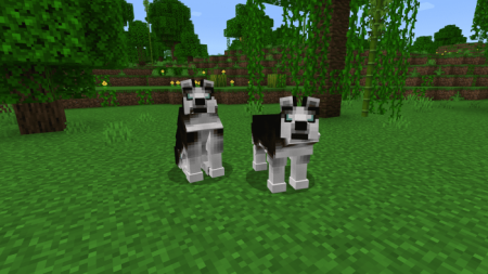 Dogs Plus Mod[23 dog] - Mods for Minecraft