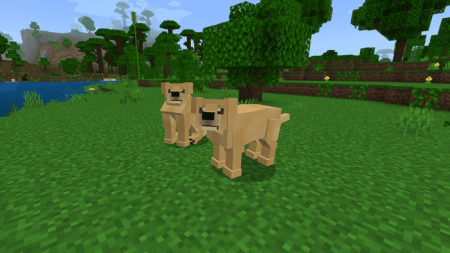 Dogs Plus Mod[23 dog] - Mods for Minecraft
