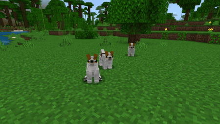 Dogs Plus Mod[23 dog] - Mods for Minecraft