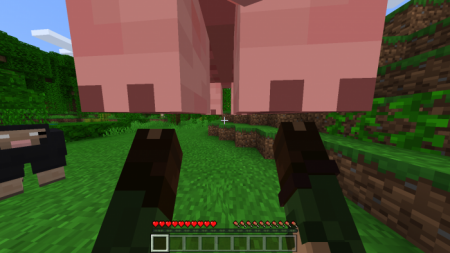 Pick up & Carry Mod - Mods for Minecraft