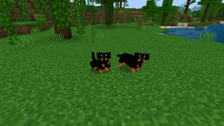 Dogs Plus Mod[23 dog] - Mods for Minecraft