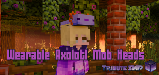 Wearable Axolotl Mob Heads Textures pack - Mods for Minecraft