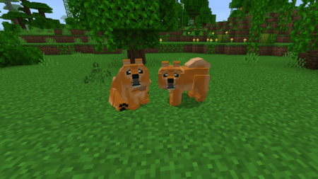 Dogs Plus Mod[23 dog] - Mods for Minecraft
