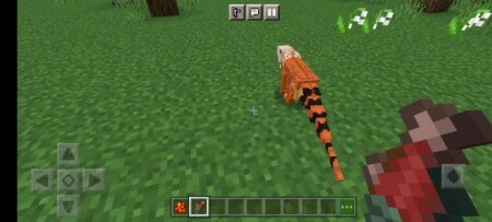 Iguana Mod - Mods for Minecraft