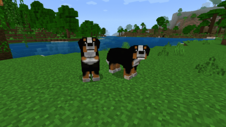 Dogs Plus Mod[23 dog] - Mods for Minecraft