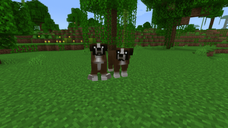 Dogs Plus Mod[23 dog] - Mods for Minecraft
