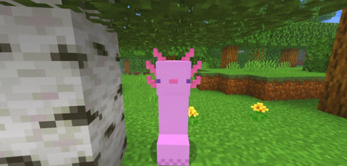 Axolotl Creeper!Texture Packs - Mods for Minecraft